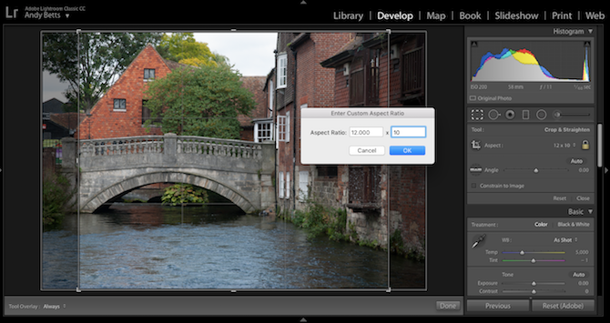 Print Photos Like a Pro: Get High-Quality Prints Online or at Home