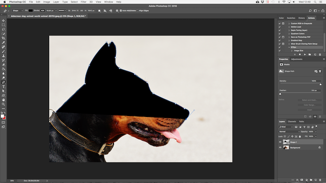 Creating and Working With Vector Graphics in Adobe Photoshop