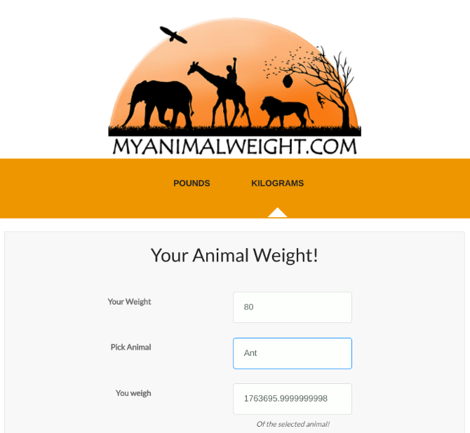 Weird but Cool: 25 Most Bizarre Websites You Haven't Seen