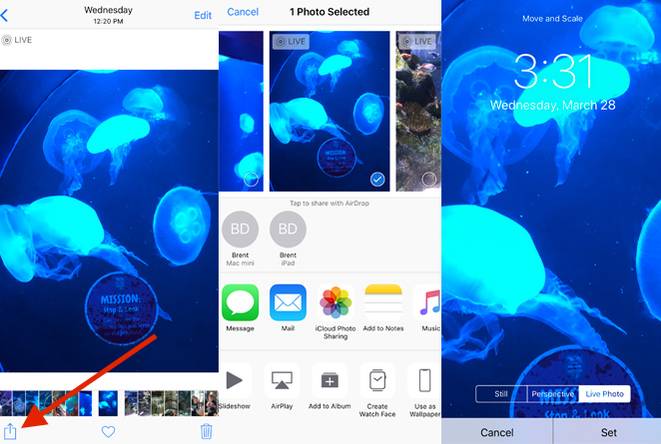 How to Capture, Share, and Edit Live Photos on iPhone