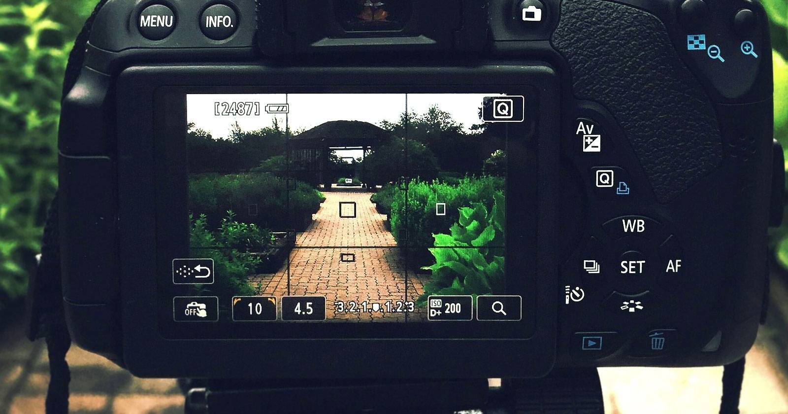 10 Reasons to Choose Manual Focus Over Autofocus When Shooting Photos