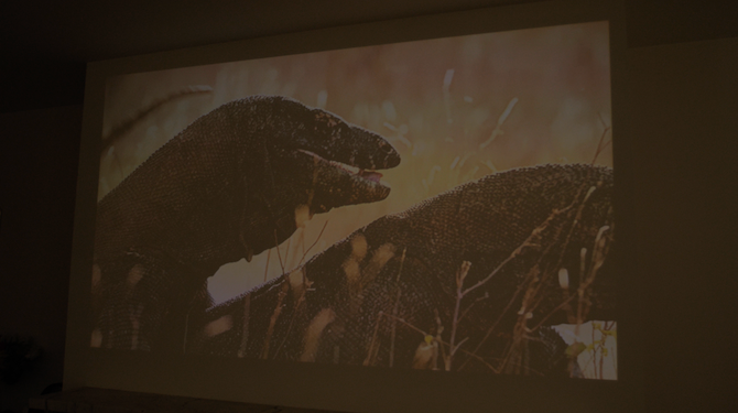 AAXA P2-B Review: Finally, a Pico Projector With an HDMI Port