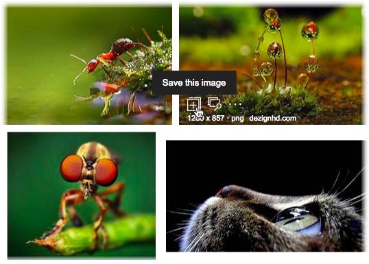 3 Nifty Tips for a Better Bing Image Search