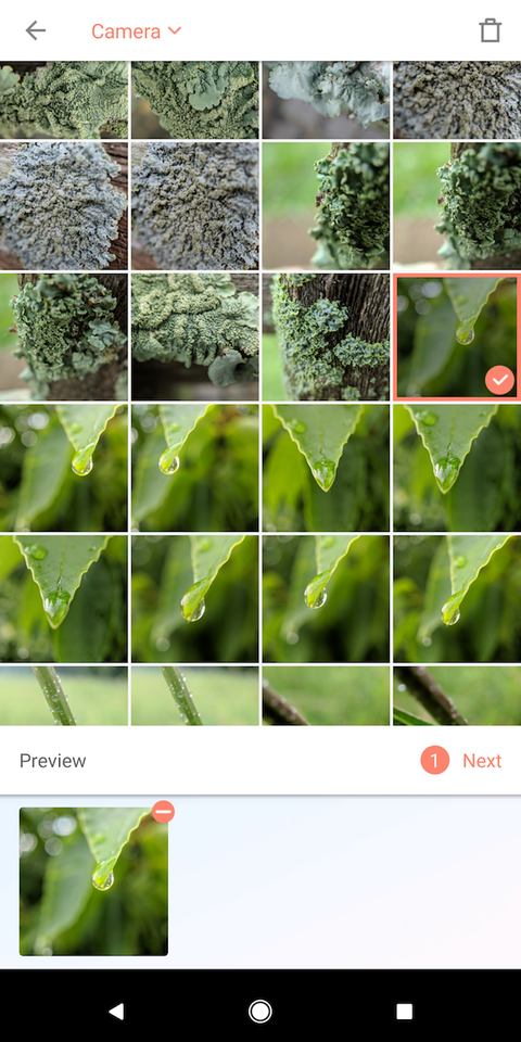 How to Add Borders to Photos: 11 Easy Methods