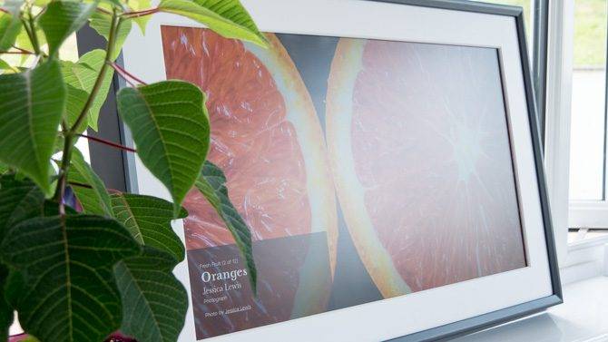 Meural Canvas: The Digital Frame for Art Lovers (Review and Giveaway)