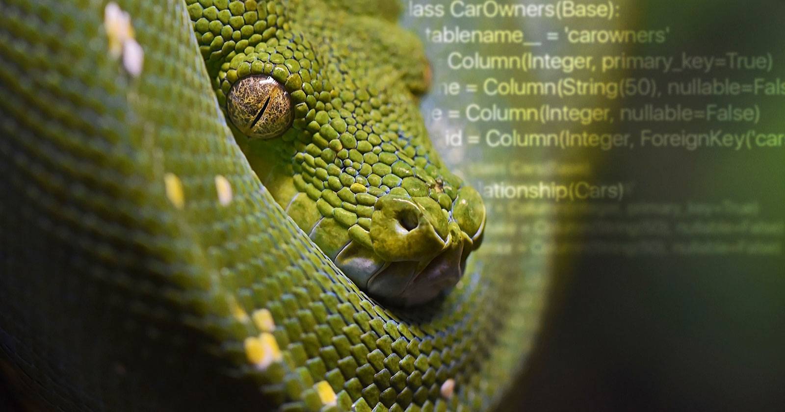 Everything You Need to Know About Python and Object-Relational Maps