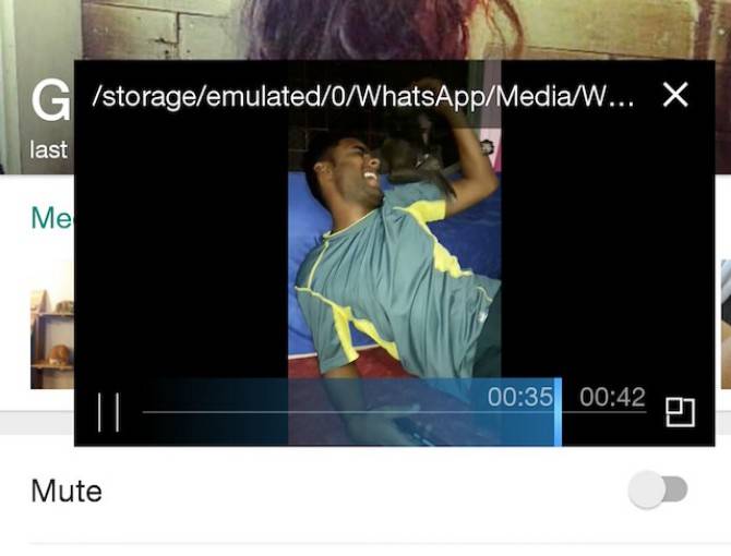 The Best New WhatsApp Features You Might Have Missed