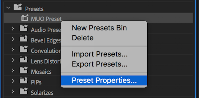 How to Make Your Own Adobe Premiere Pro Presets