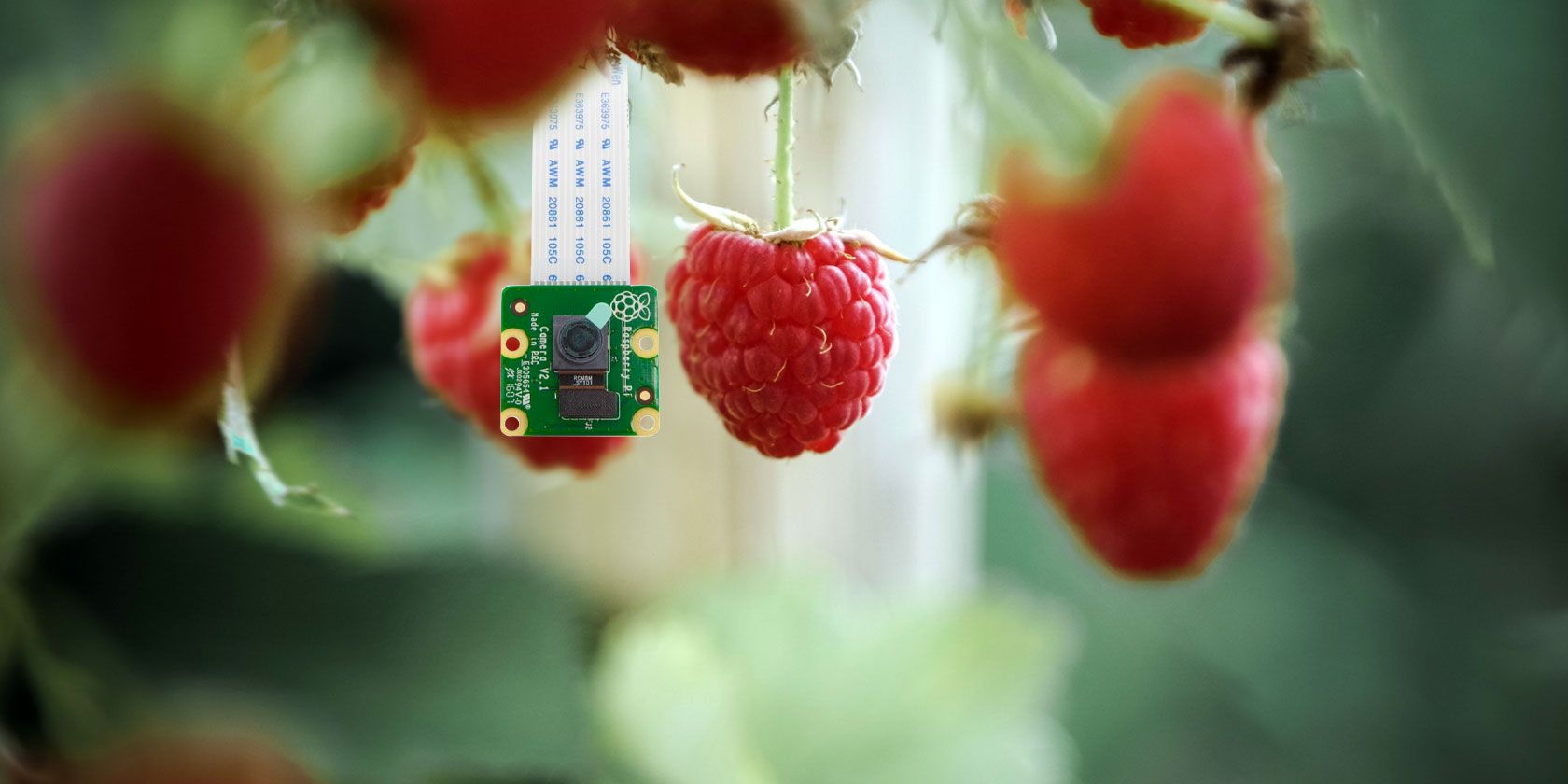 How to Set Up a Raspberry Pi Camera Module