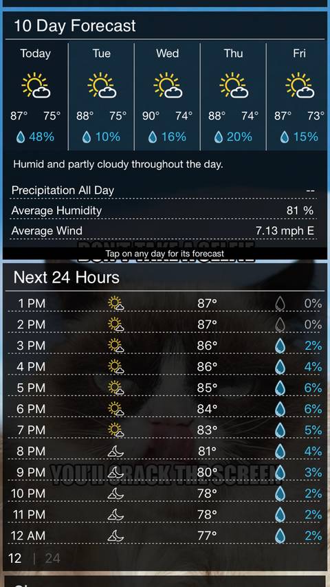 5 Funny Weather Apps to Make the Forecast Entertaining