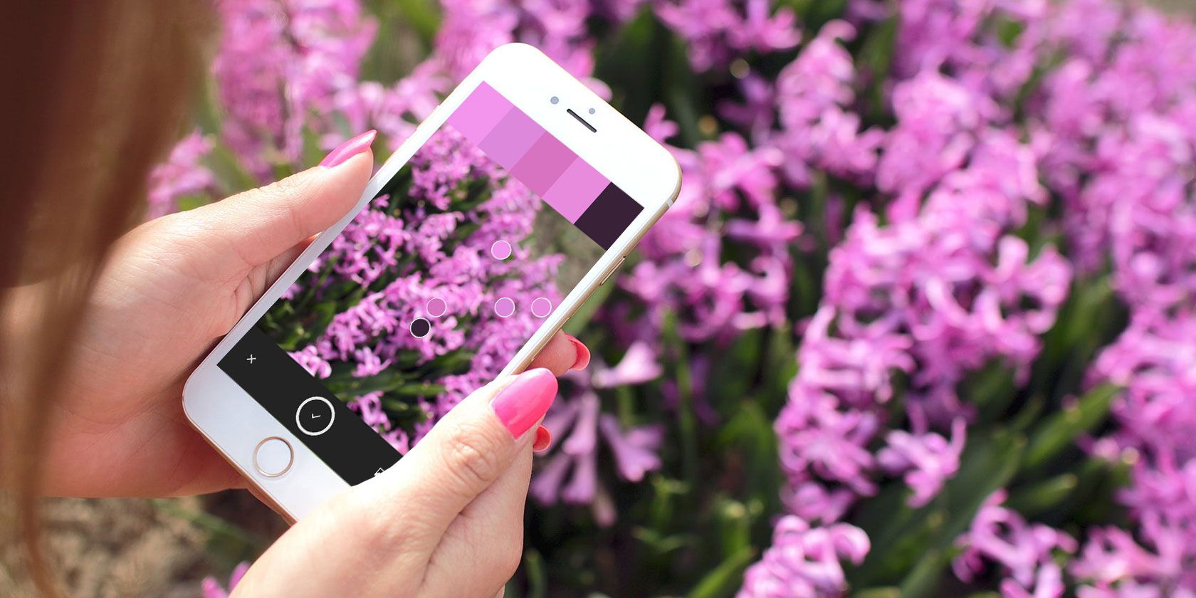 How to Use Adobe Capture to Design With Real Life Elements