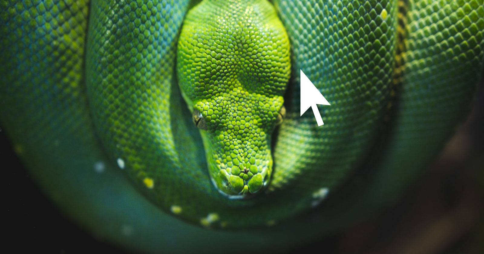 How to Create Your Own Command Line Programs in Python With Click