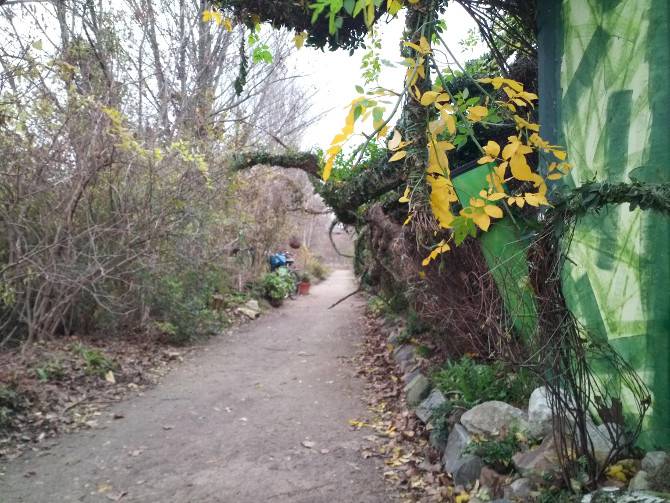 Blackview BV6800 Pro: Rugged Looks, Good Internals (Review and Giveaway!)