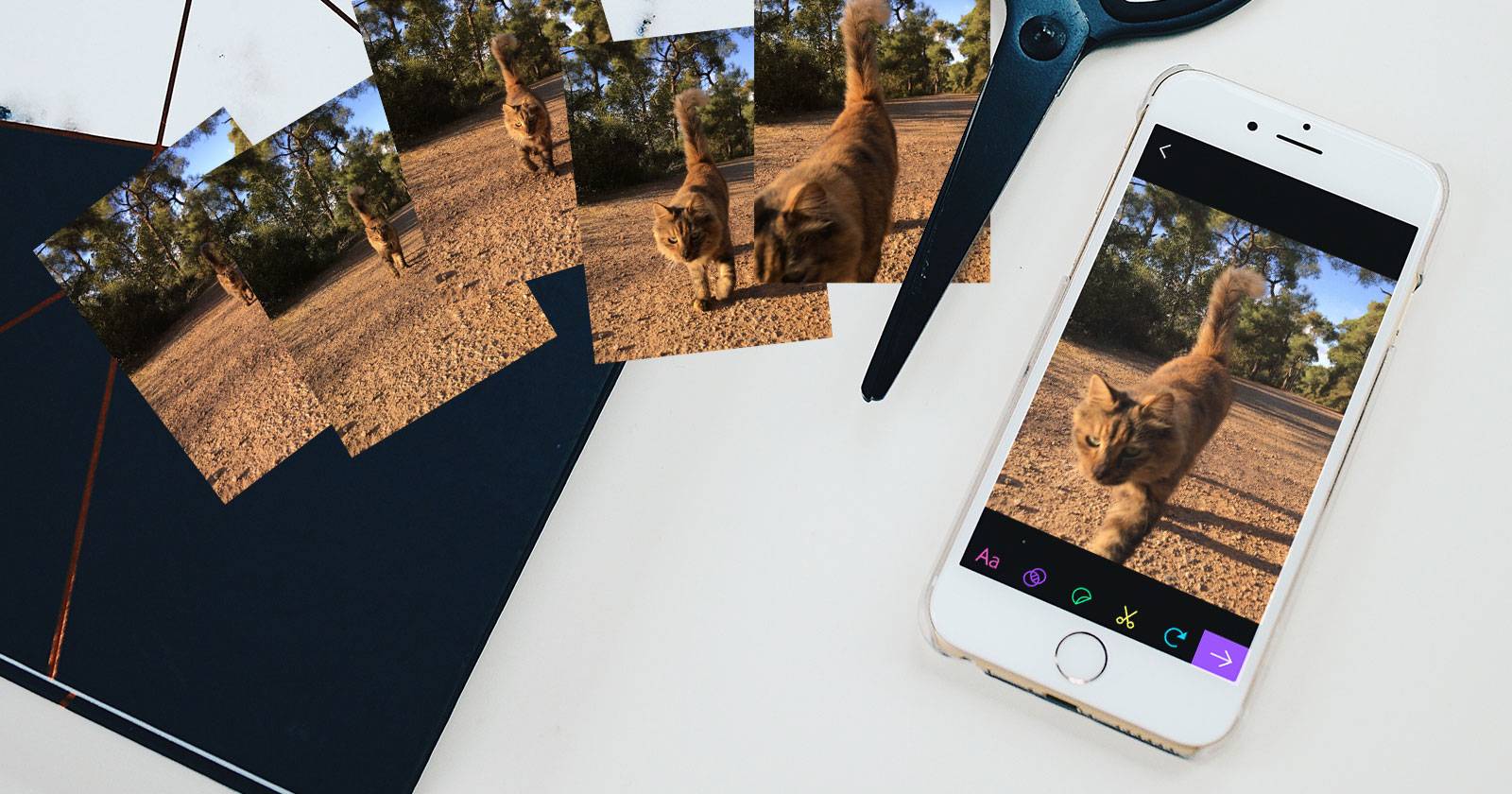 The 7 Best iPhone GIF Apps to Create, Collect, Save, and Share