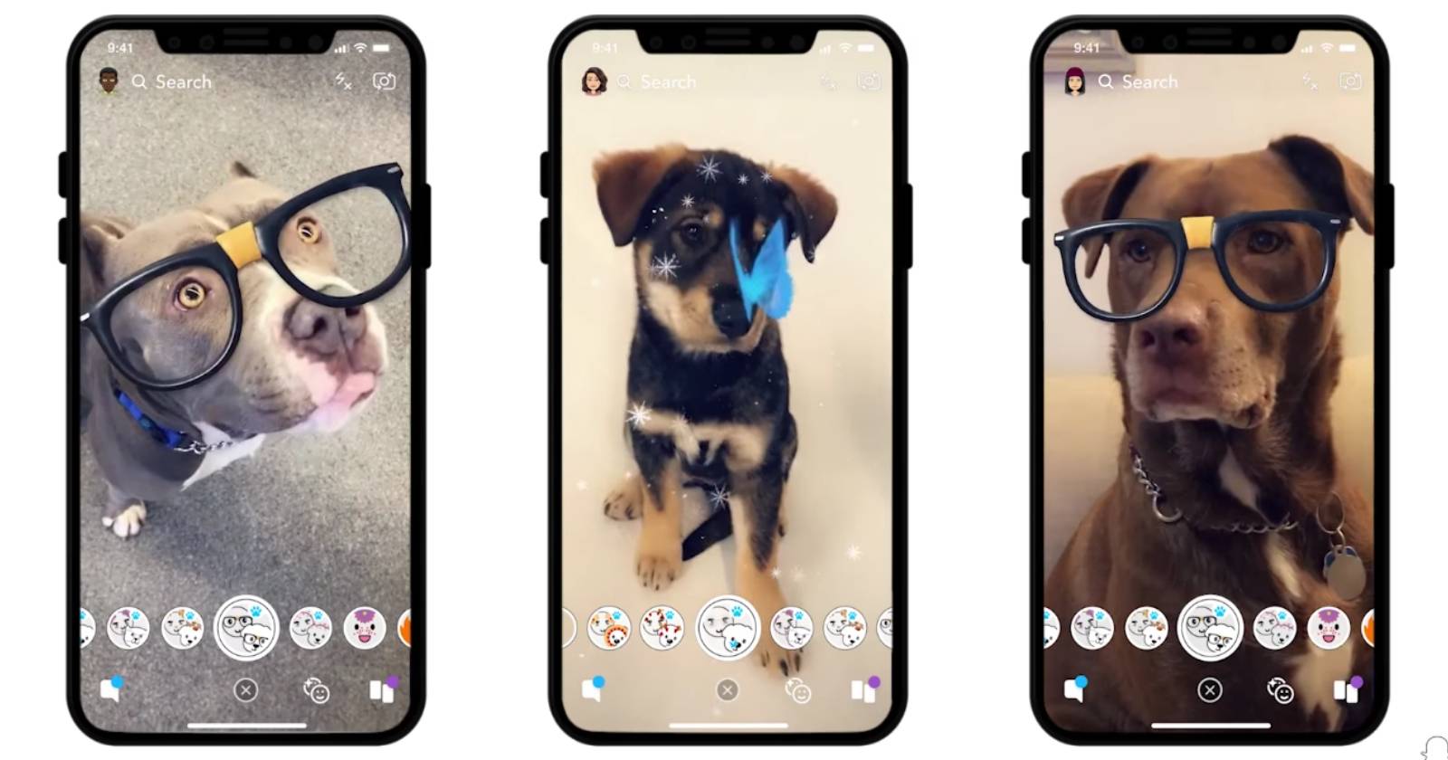 Snapchat Launches Lenses for Dogs