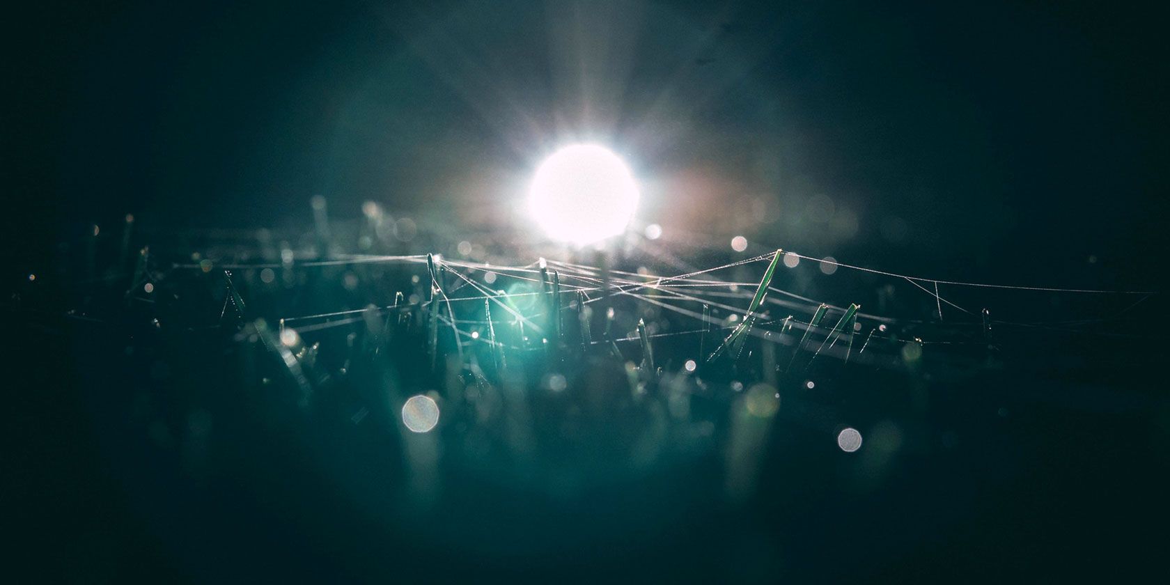 The Experian Dark Web Scan: Do You Need It and Can You Trust It?