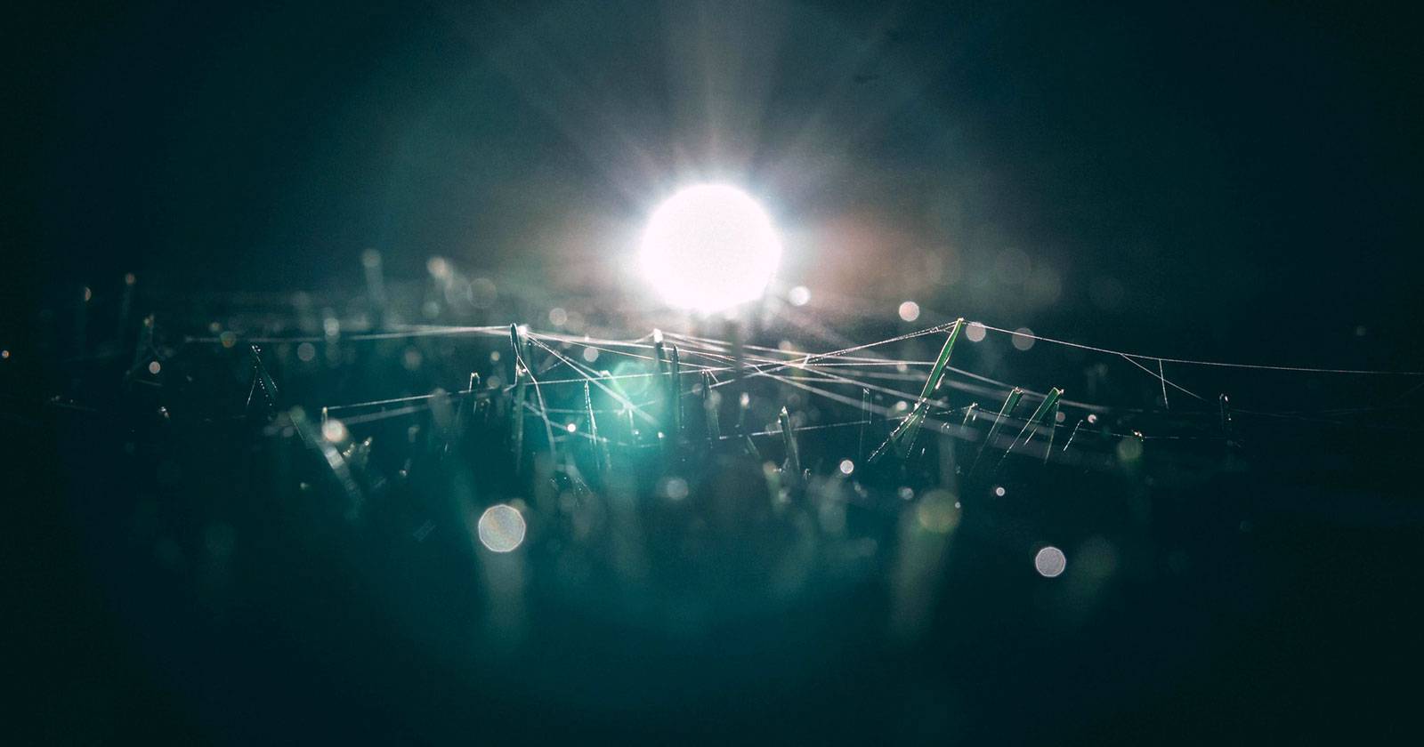 The Experian Dark Web Scan: Do You Need It and Can You Trust It?