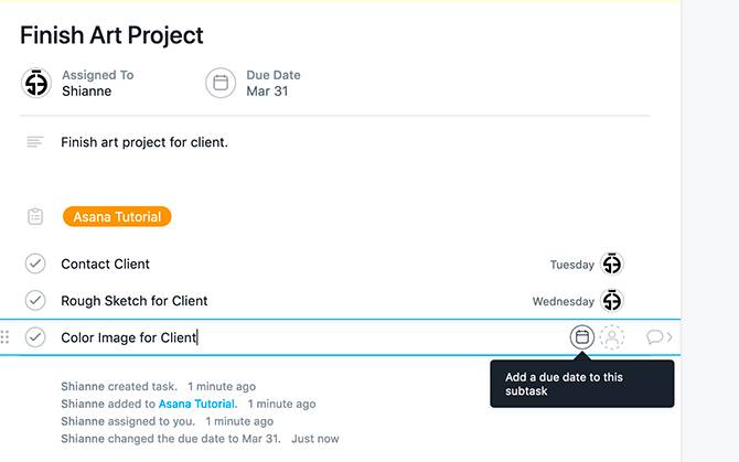 A Beginner's Guide to Using Asana for Tracking Any Project