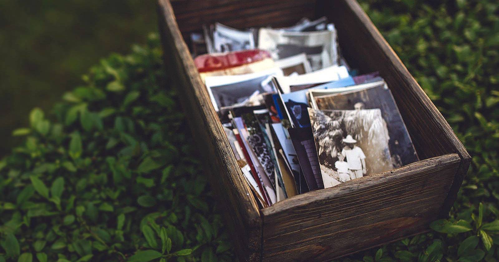How to Manage Your Photos on Linux Like a Pro