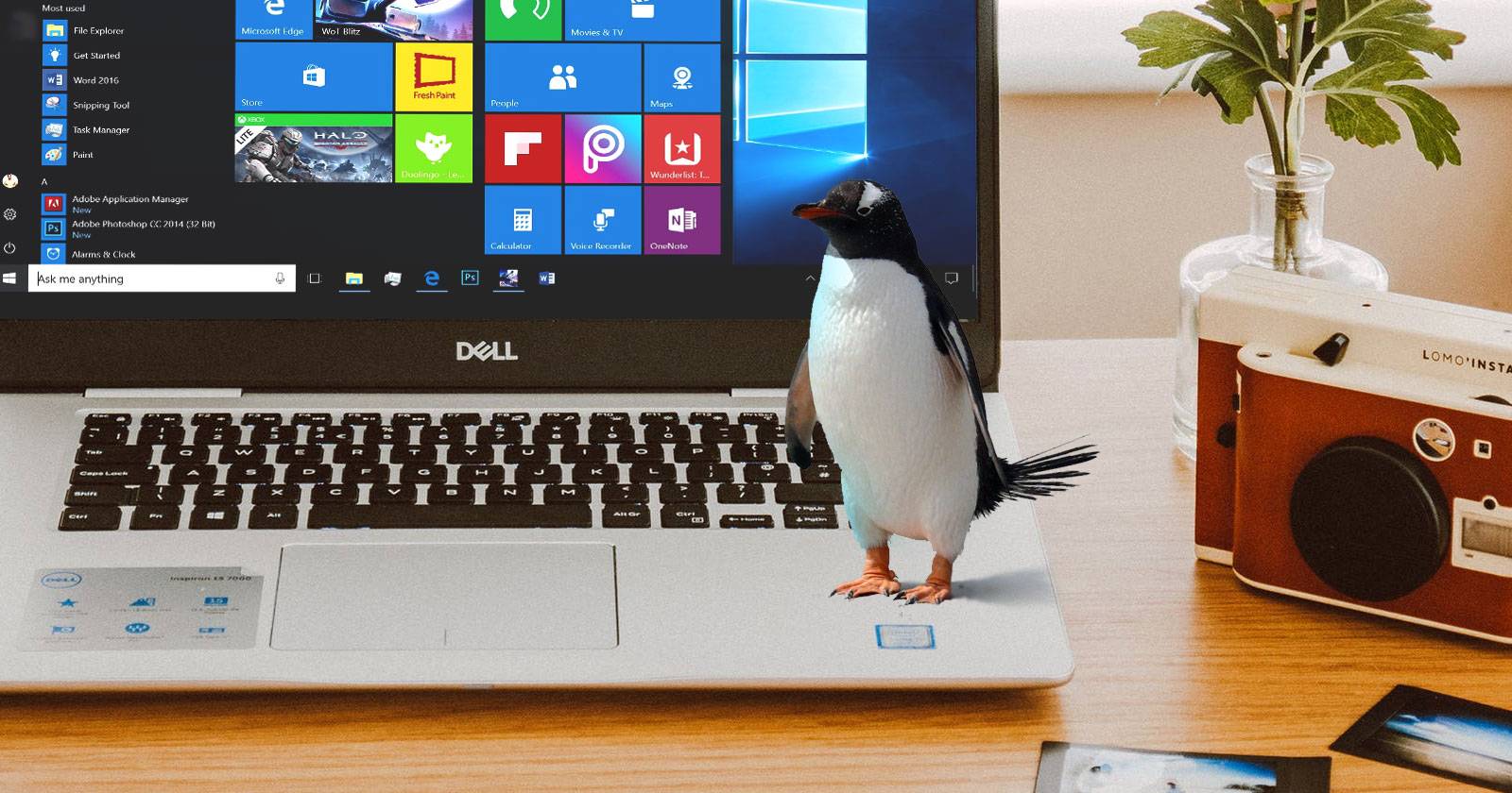 How to Transfer and Share Files Between Windows and Linux