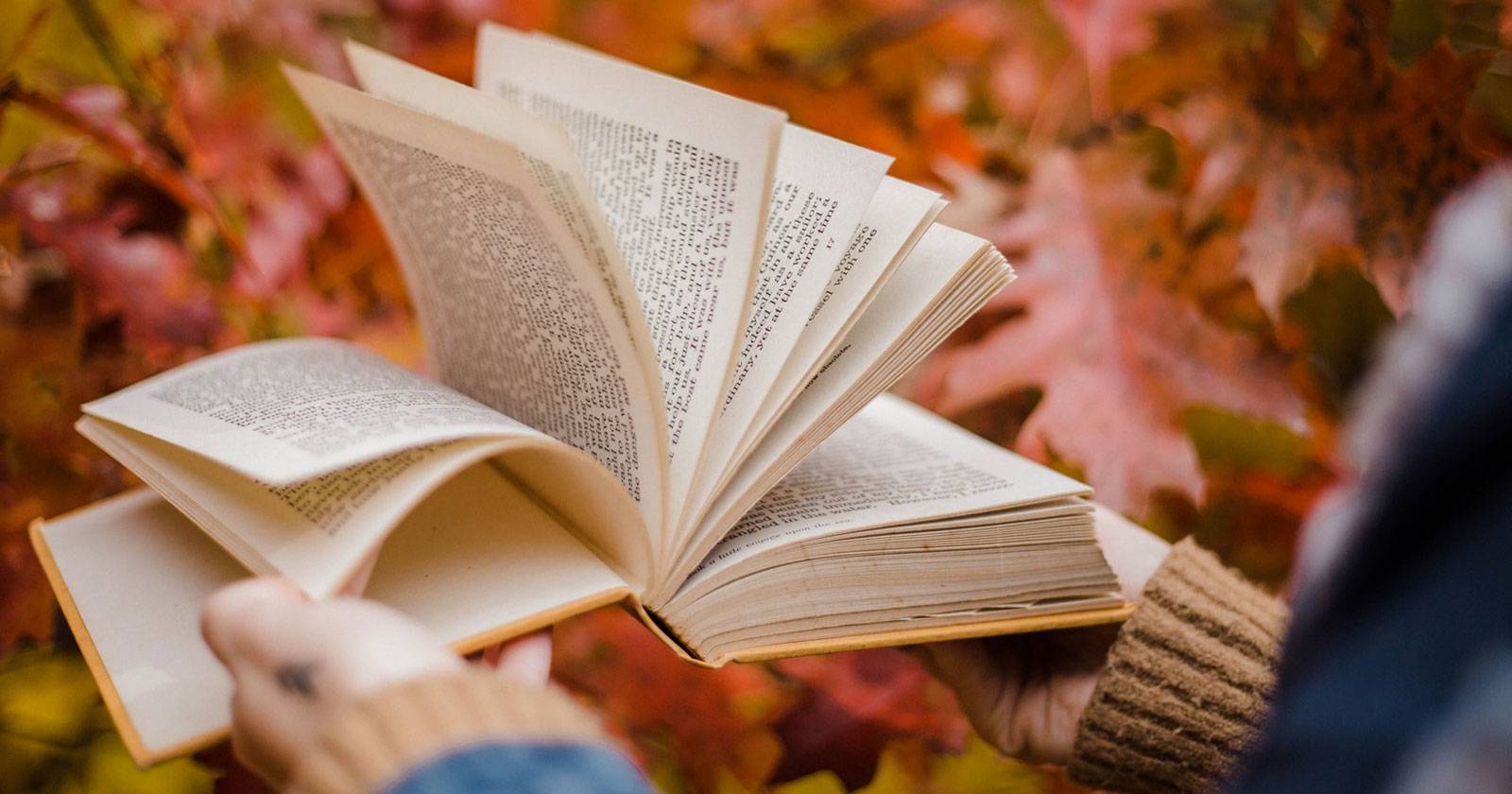 5 Smart Ways to Read Long Articles Quickly Instead of Hoarding Them