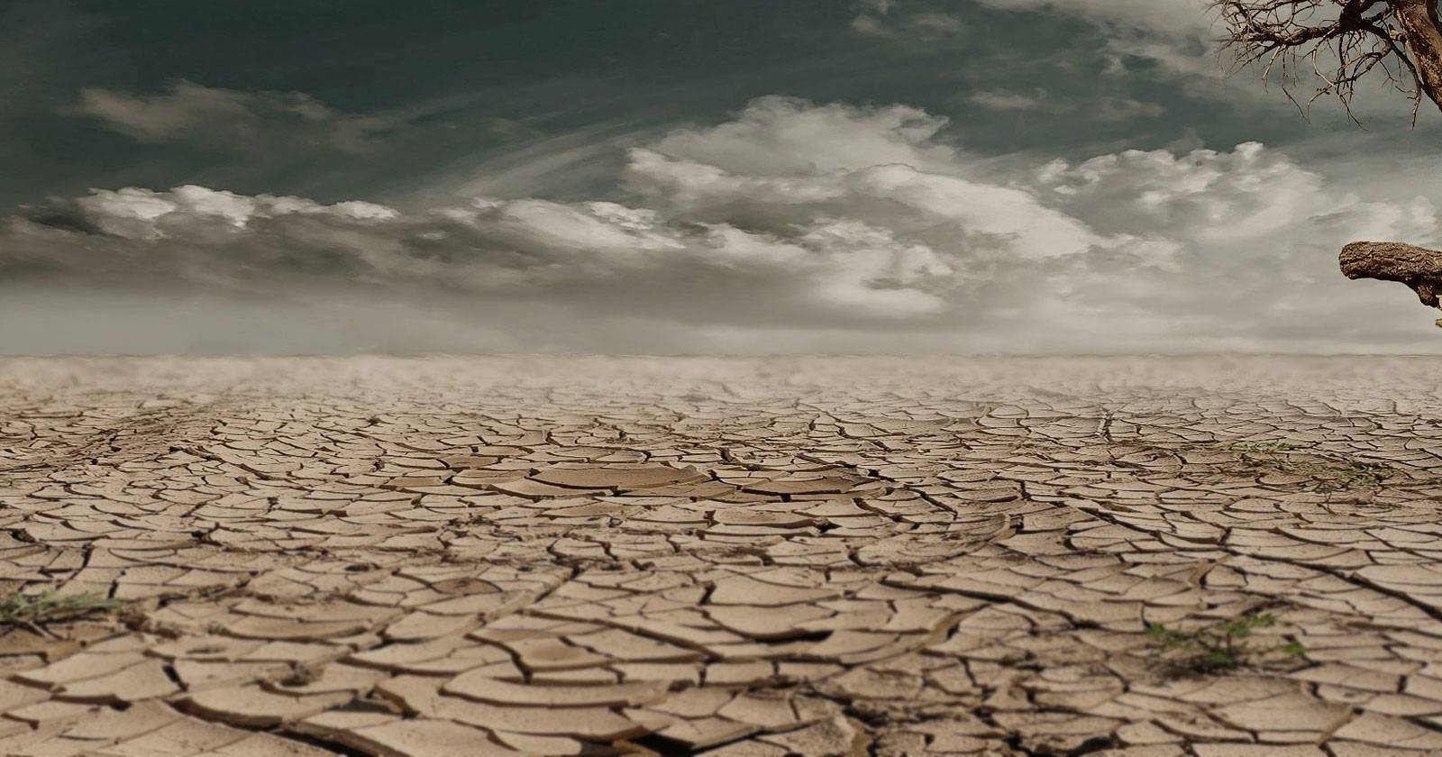 5 Climate Change Tools to Understand and Fight Global Warming