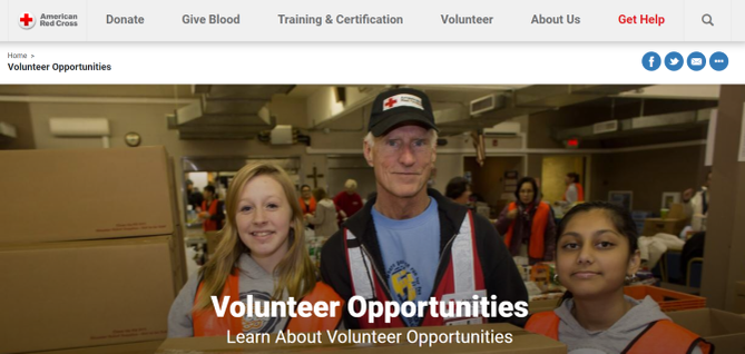 The 10 Best Websites to Find Volunteer Work and Opportunities