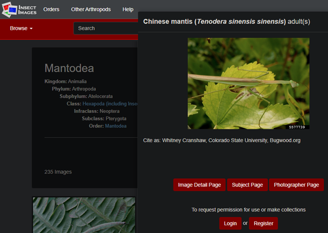 13 Creepy and Disgusting Websites to Share With Friends