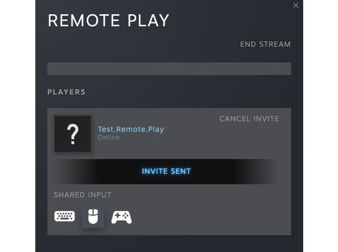 How to Play Local Multiplayer Games Online on Steam