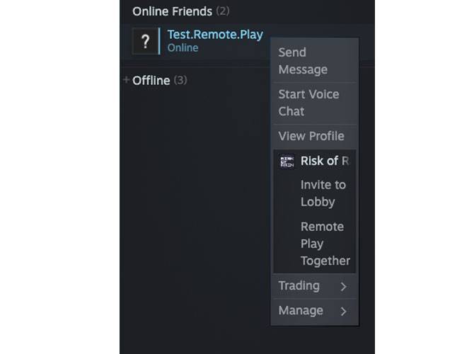 How to Play Local Multiplayer Games Online on Steam