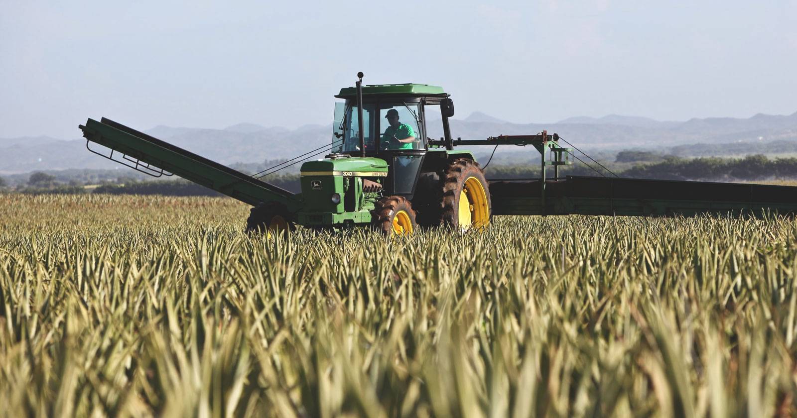 The 5 Best Farming Games on Android and iPhone