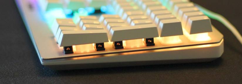 Cherry Viola Mechanical Keyboard Switch: The Biggest News in Keyboard ...