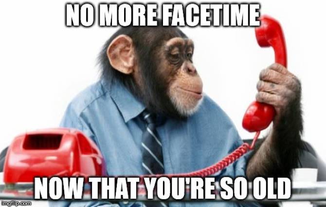 The 18 Best Happy Birthday Memes to Brighten Someone's Day