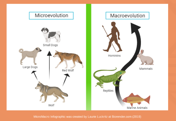 The Theory of Evolution: 5 Cool Sites You Must Visit on Darwin Day