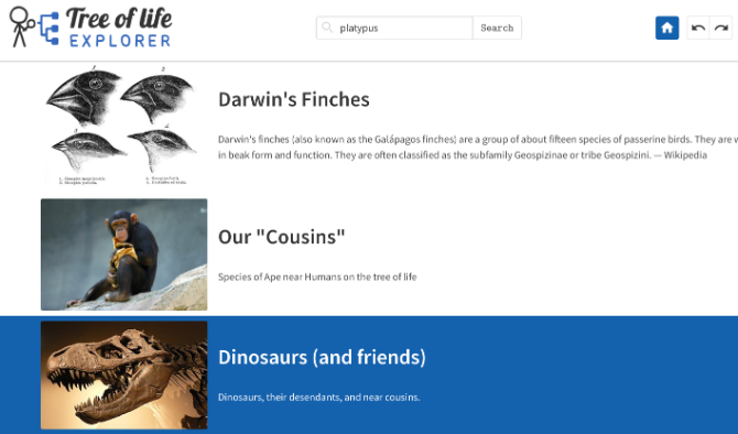 The Theory of Evolution: 5 Cool Sites You Must Visit on Darwin Day