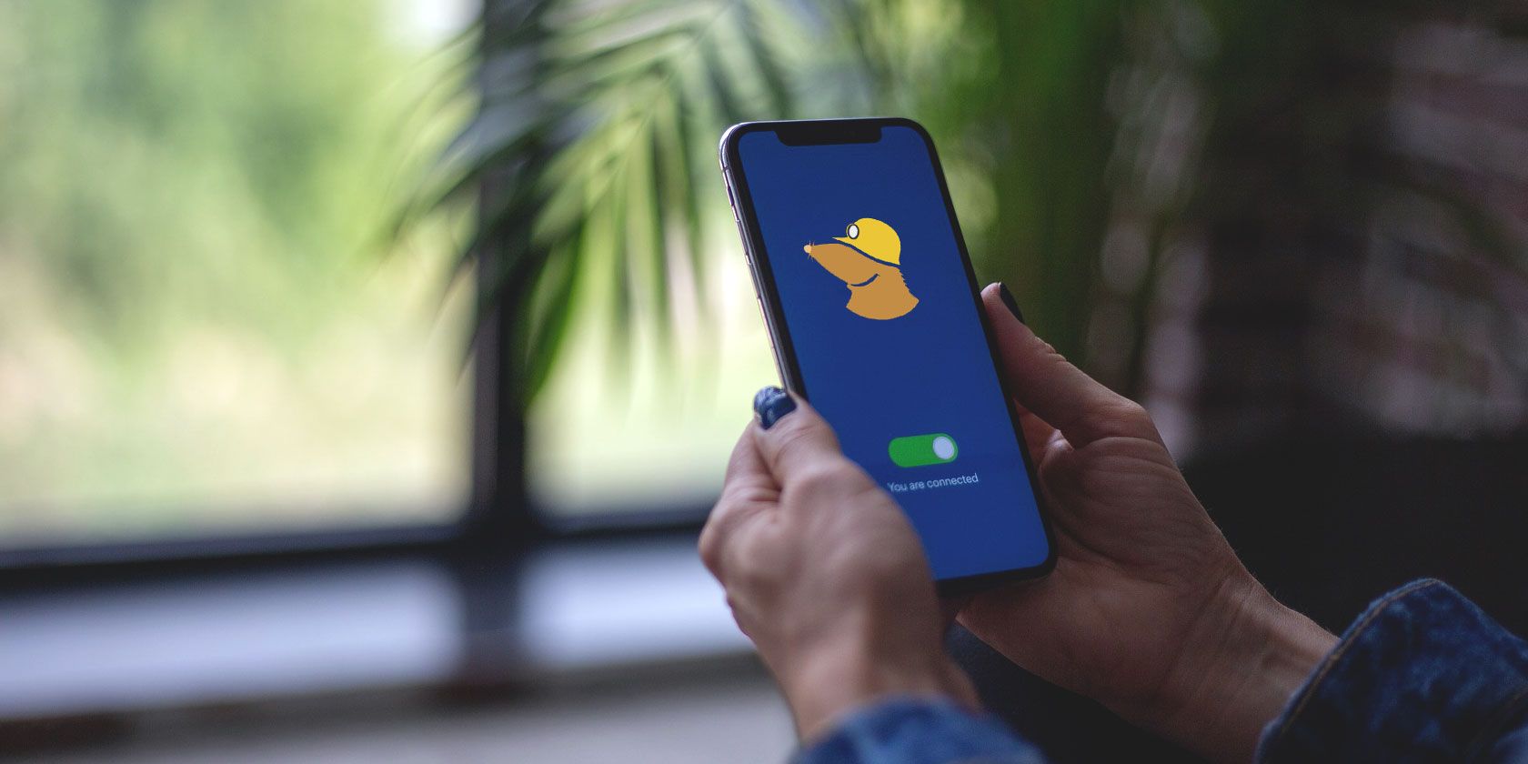 Mullvad VPN Review: Cutting Edge and Complex