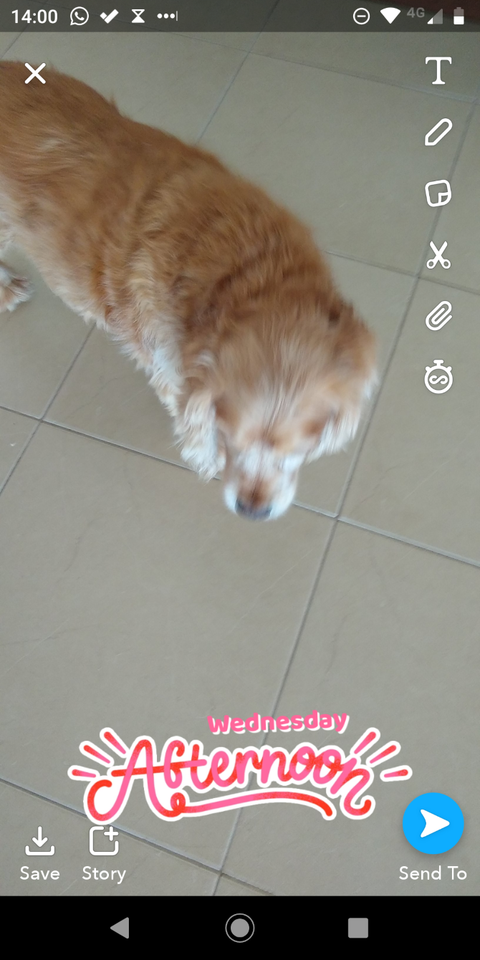 The Best Snapchat Filters List and Essential Snapchat Lenses
