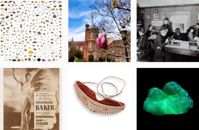 The 18 Best Educational Instagram Accounts for Students