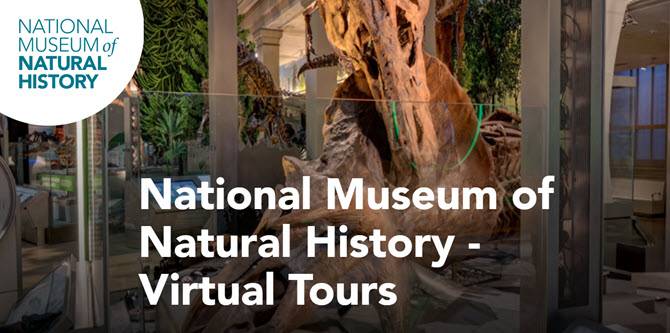 The 7 Best Virtual Museums You Can Tour Without Leaving Home