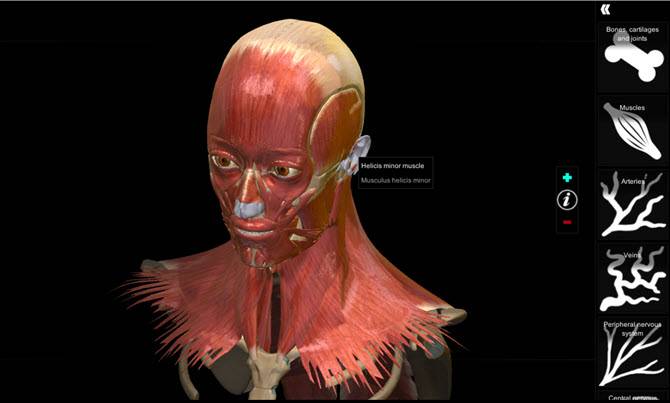 The 6 Best Virtual Tours of the Human Body for Interactive Anatomy