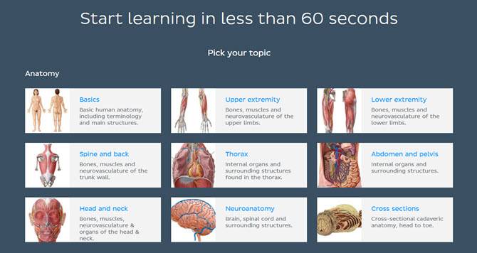 The 6 Best Virtual Tours of the Human Body for Interactive Anatomy