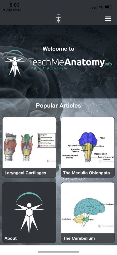 The 6 Best Virtual Tours of the Human Body for Interactive Anatomy