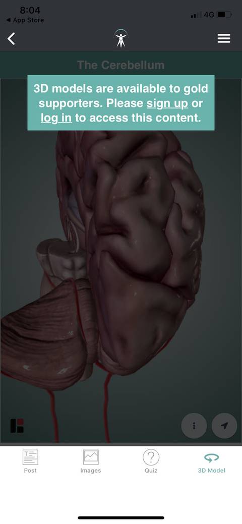 The 6 Best Virtual Tours of the Human Body for Interactive Anatomy