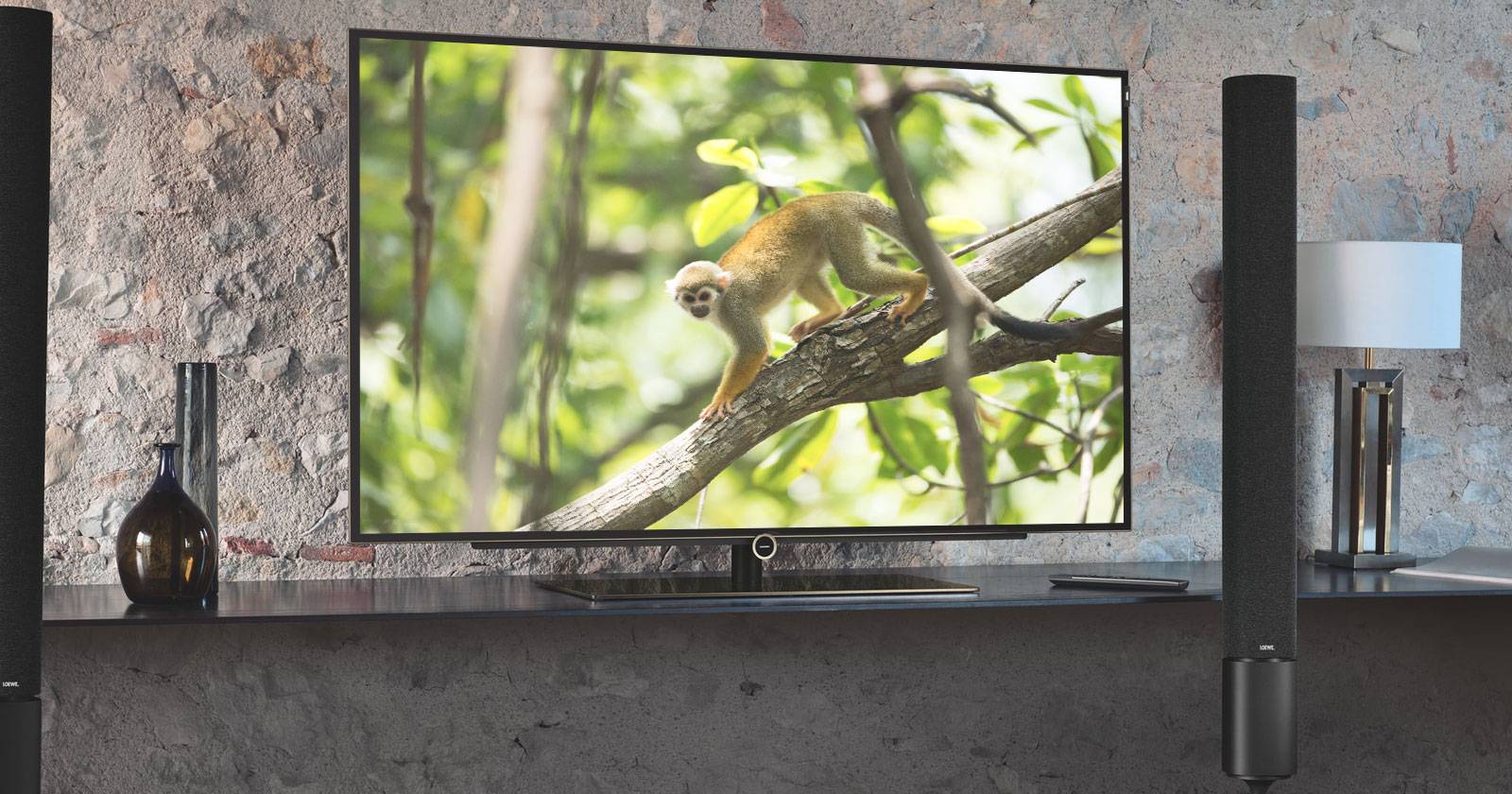 The 10 Best Nature Documentaries to Watch on Netflix