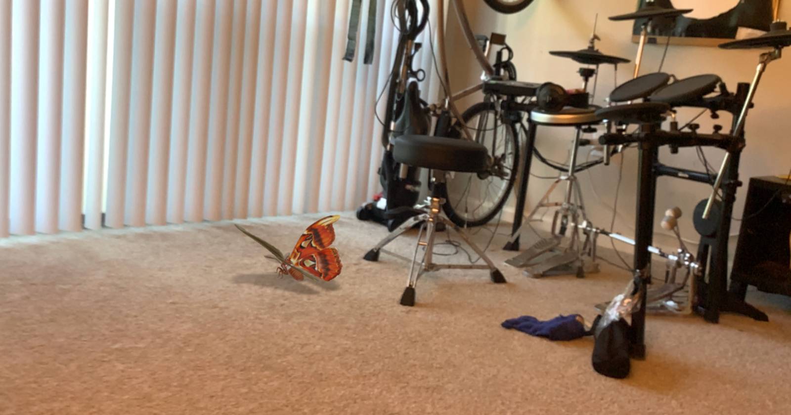 Google AR Adds 3D Insects to Its Search Results