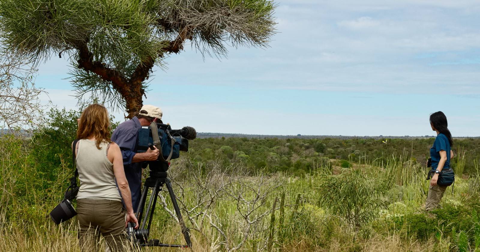 The 10 Best Science Documentaries to Watch on Netflix