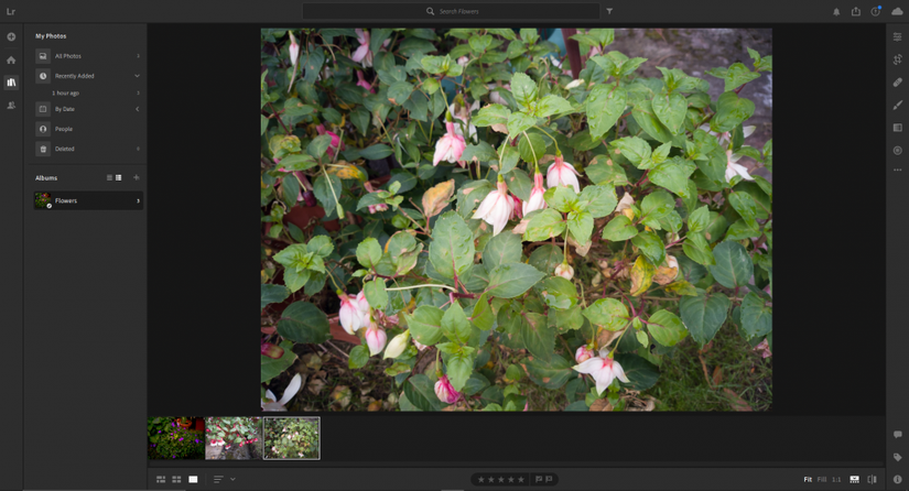 What Is Adobe Lightroom and What Is It Used For?