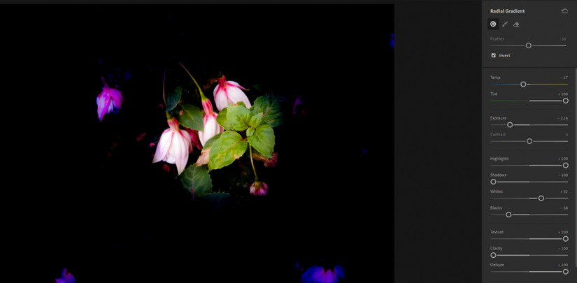 What Is Adobe Lightroom and What Is It Used For?