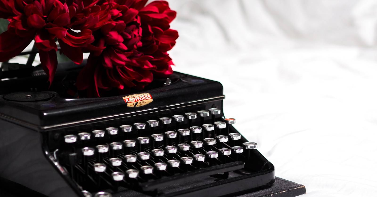 How to Make the Most of Reedsy Discovery as an Author
