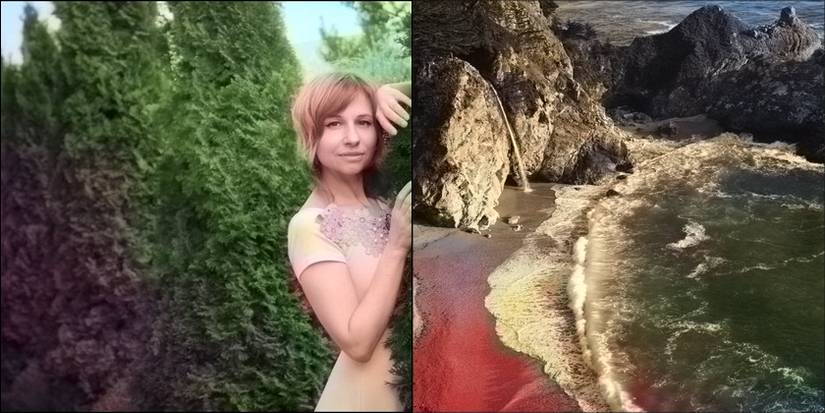 6 AI Tools That Add Color to Old Black and White Photos